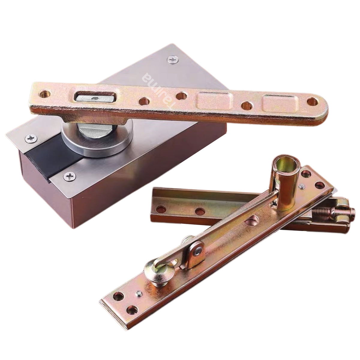Tajima Stainless 360 Degree Pivot Hinge (250kg)